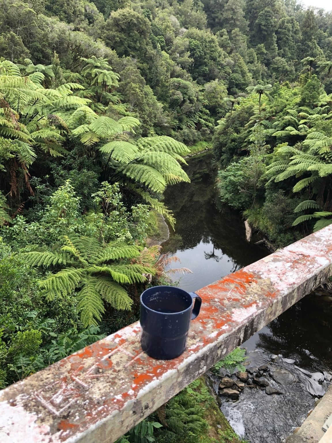 Day-8-Tangarakau-gorge – Auckland Cycle Touring Association
